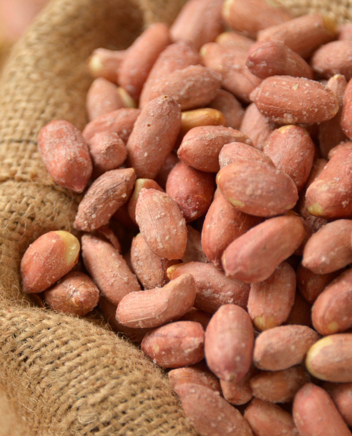 Φιστίκι αράπικο ψημένο - E-nuts.gr